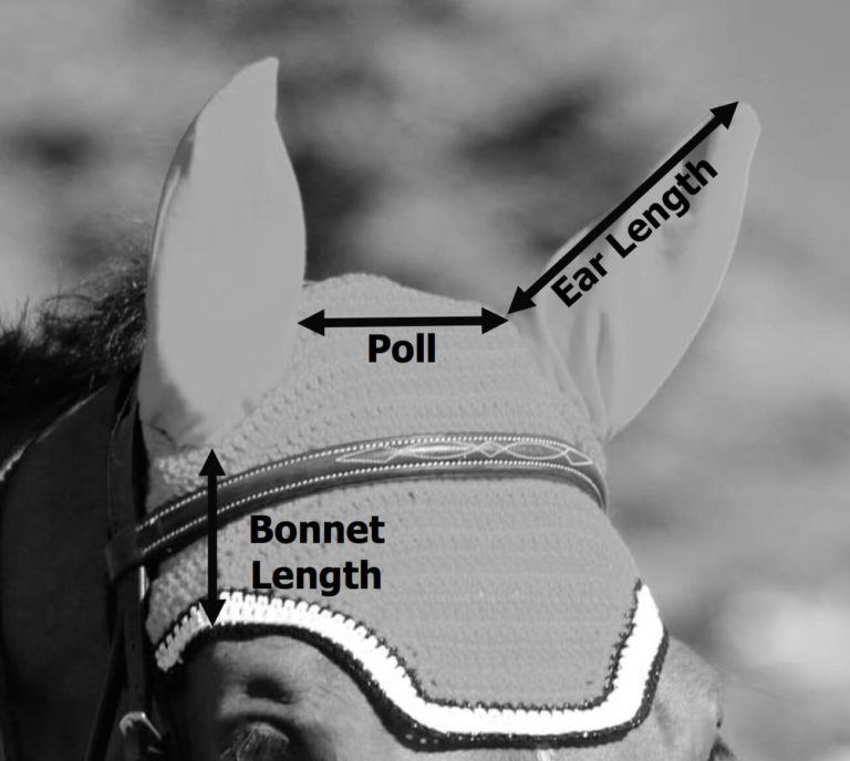 Bonnet Info - Frilly Fillies